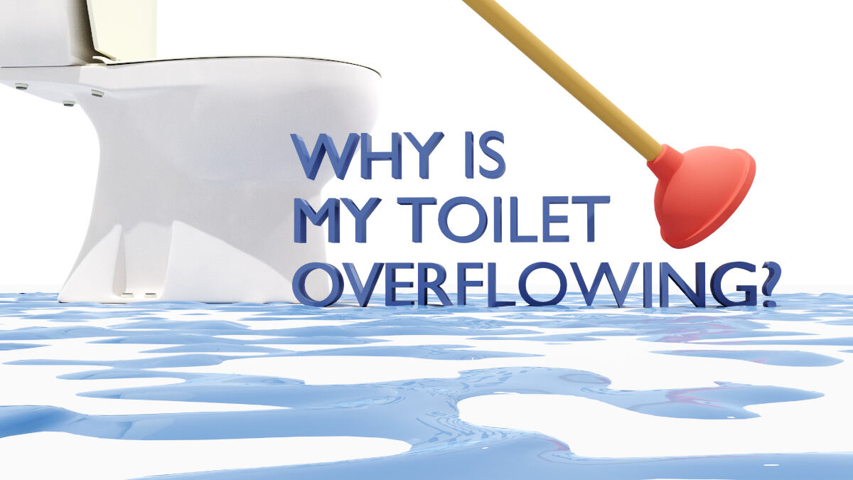 Why Is My Toilet Overflowing? - JD Precision Plumbing Services